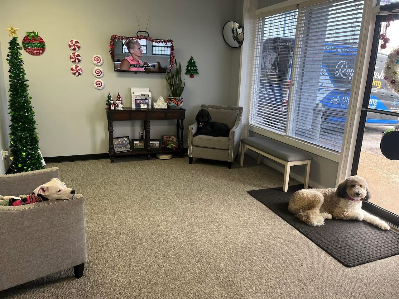 Alpine's Holiday Pet Food Drive Delivers Nearly $500 in Donations to ...